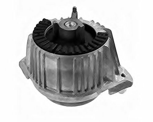 Homepage - My Website