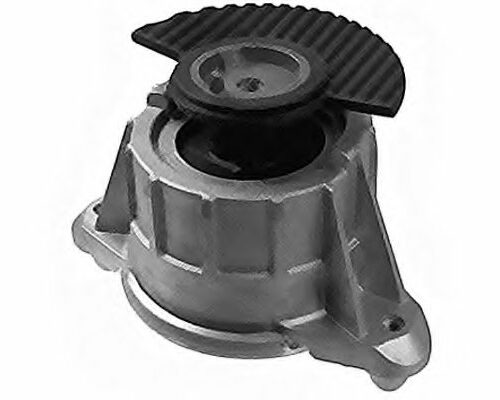 Homepage - My Website