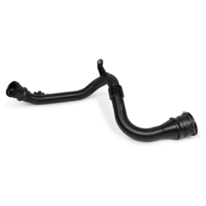 Homepage - My Website