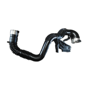 Homepage - My Website