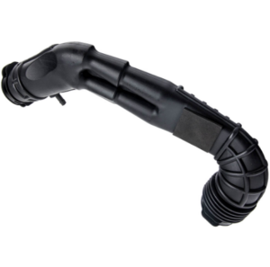 Homepage - My Website